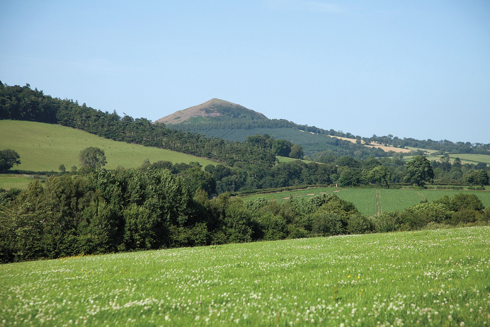 109km Borders Abbeys Way Guidebook | Scotland's… | Cicerone Press