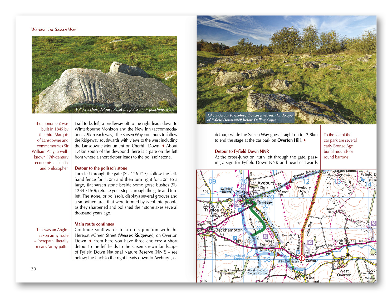 Sarsen Way & Cranborne Droves Way | Walking… | Cicerone Press