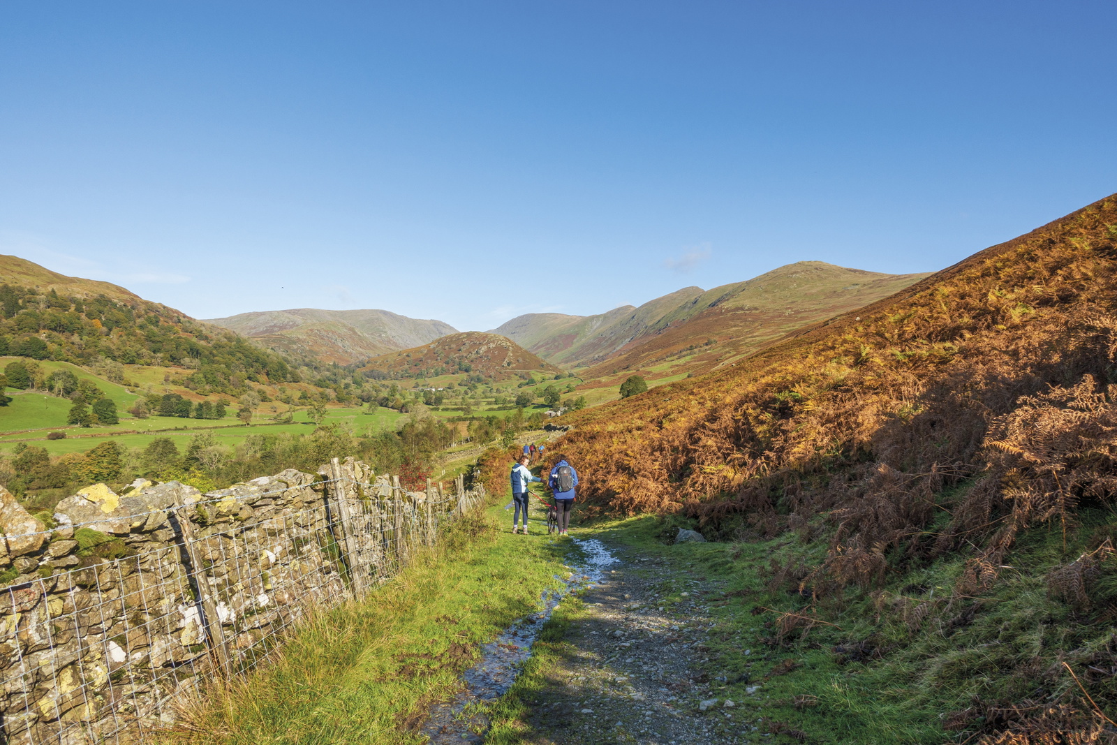 15 Short Walks in the Lake District | Windermere,… | Cicerone Press
