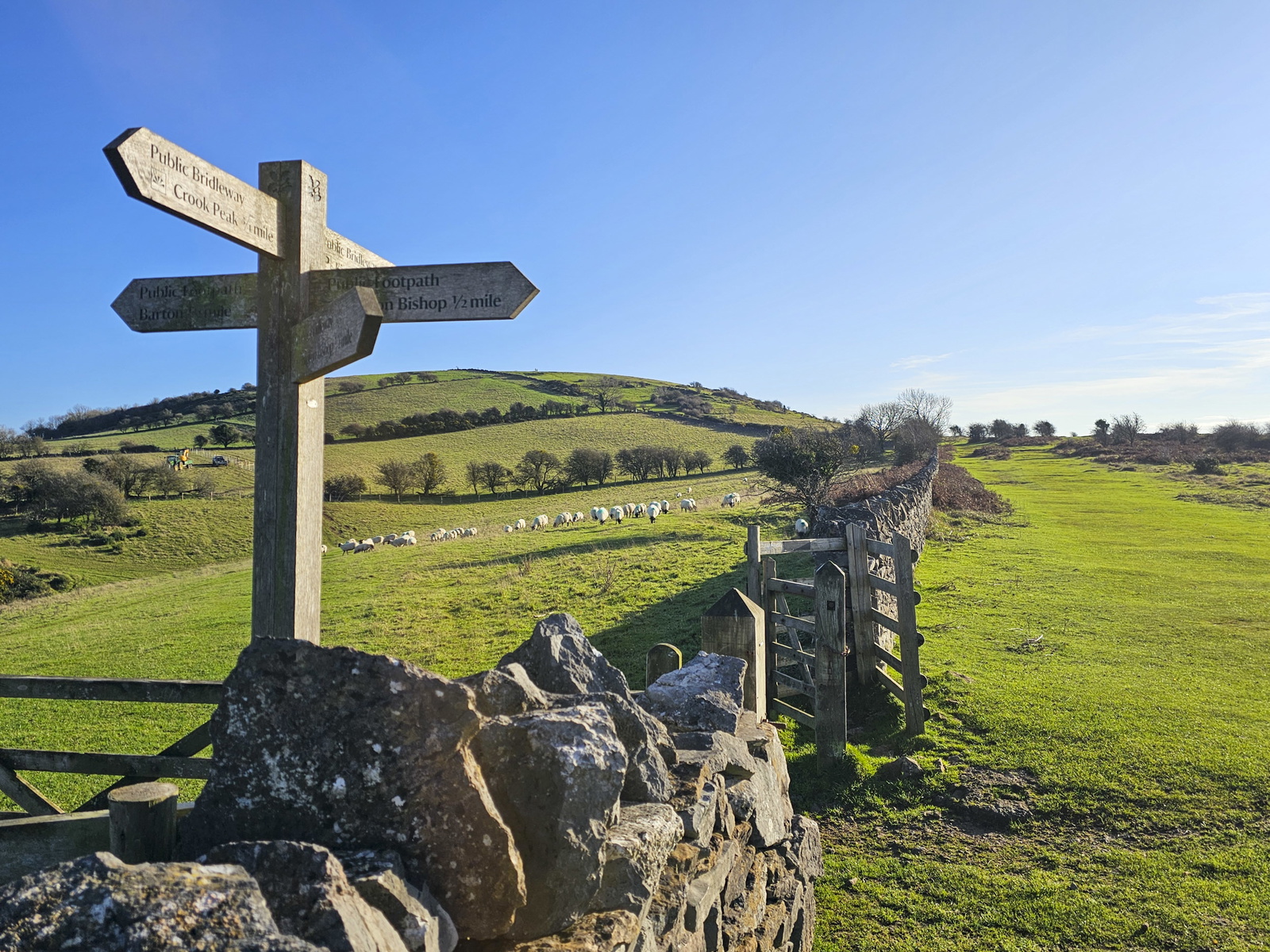 Cheddar and the Mendips | 15 Short Walks | Guidebook | Cicerone Press