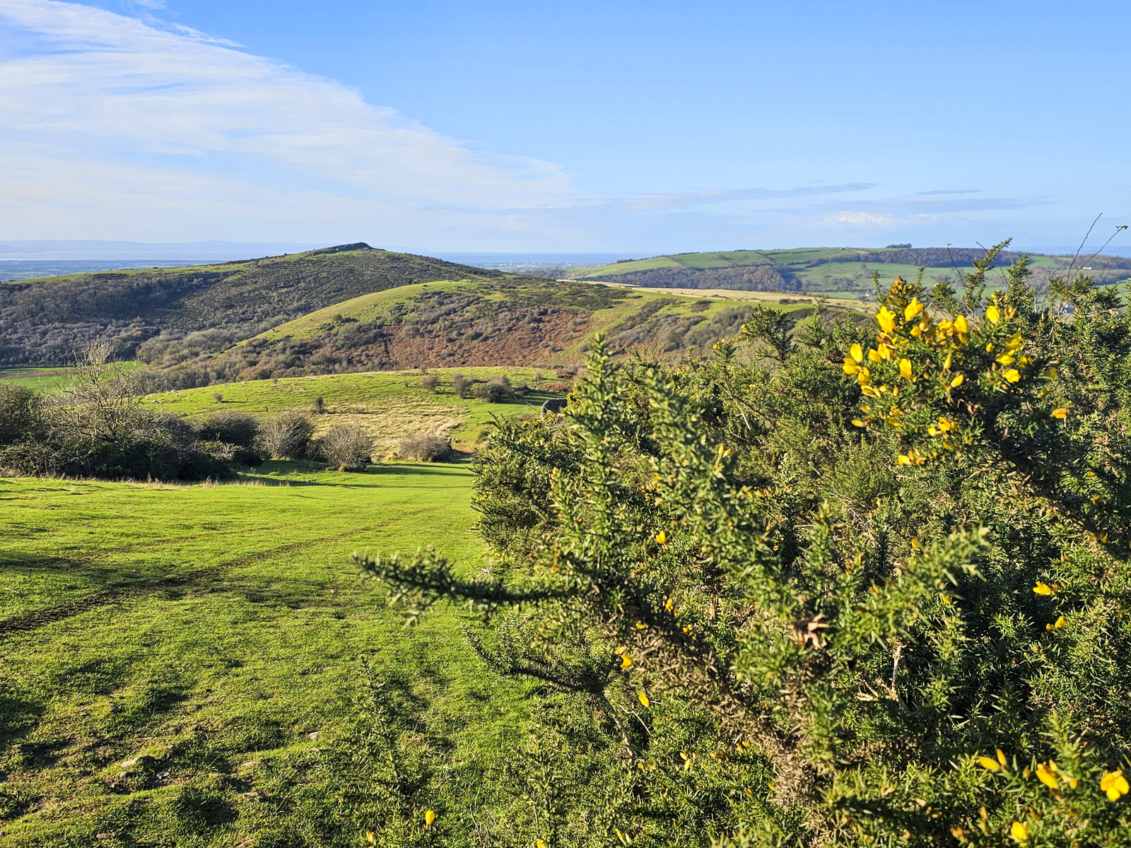 Cheddar and the Mendips | 15 Short Walks | Guidebook | Cicerone Press