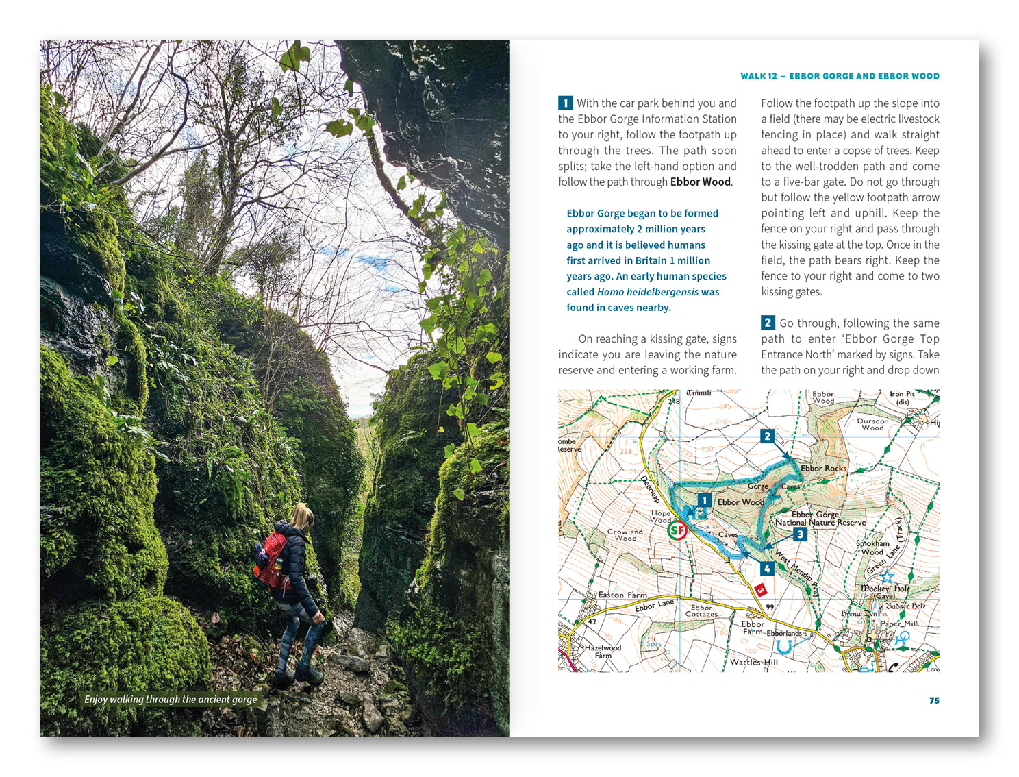 Cheddar and the Mendips | 15 Short Walks | Guidebook | Cicerone Press